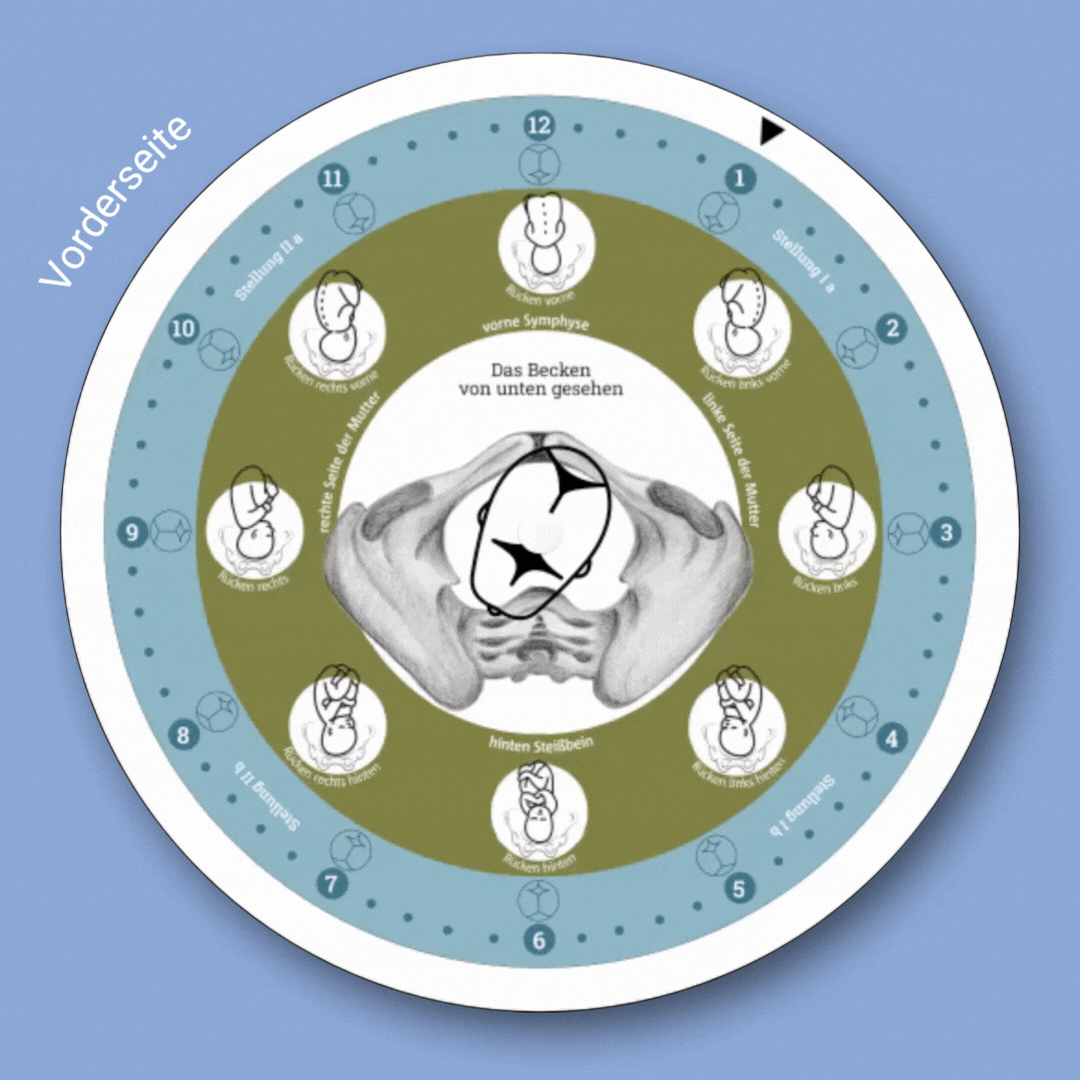 Staude Shop | Der online-Shop für Hebammen